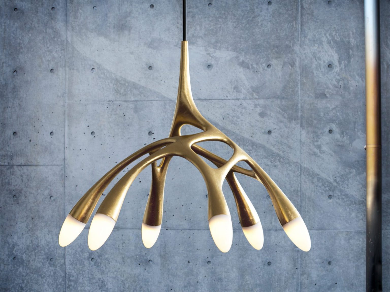 NLC – Lighting House